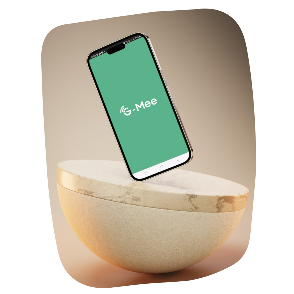 G-mee Co-pilot - G-mee Australia