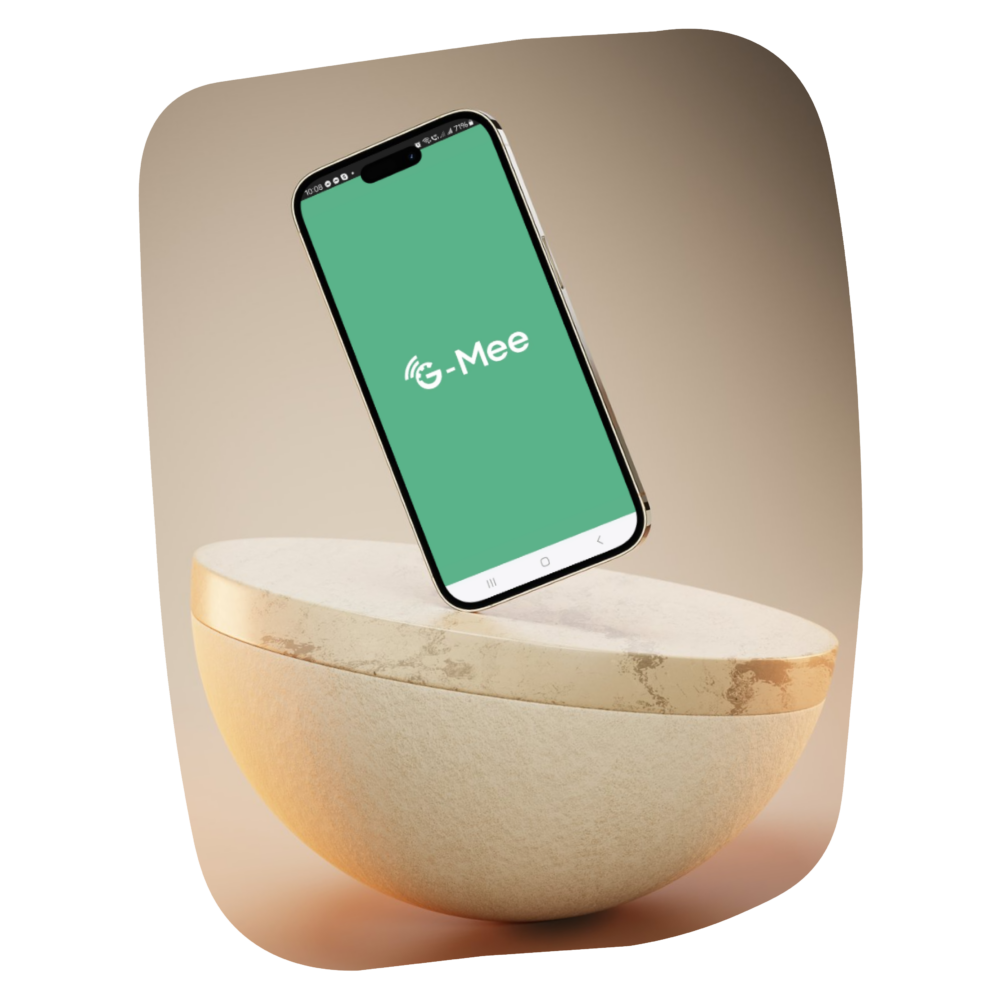 G-mee Co-pilot - G-mee Australia